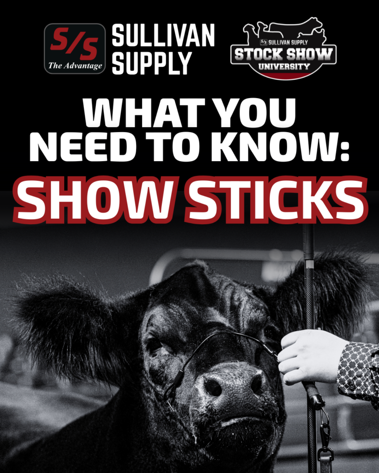 What You Need To Know: Show Sticks | Tips from Stock Show University ...