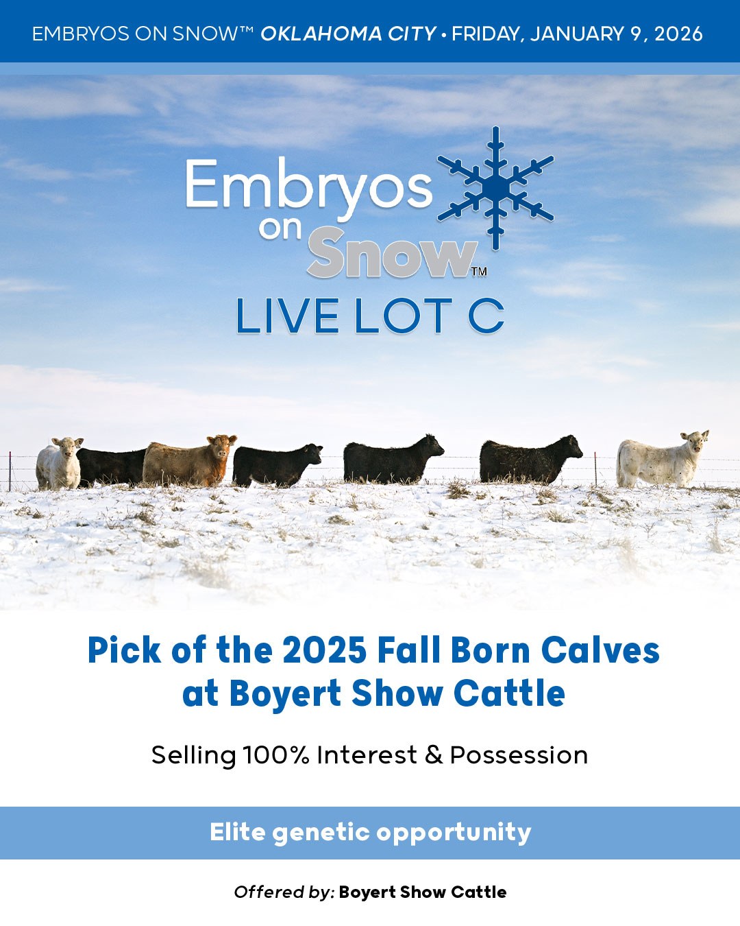 SALE DAY | EMBRYOS ON SNOW™ – PART ONE – OKC | The Pulse