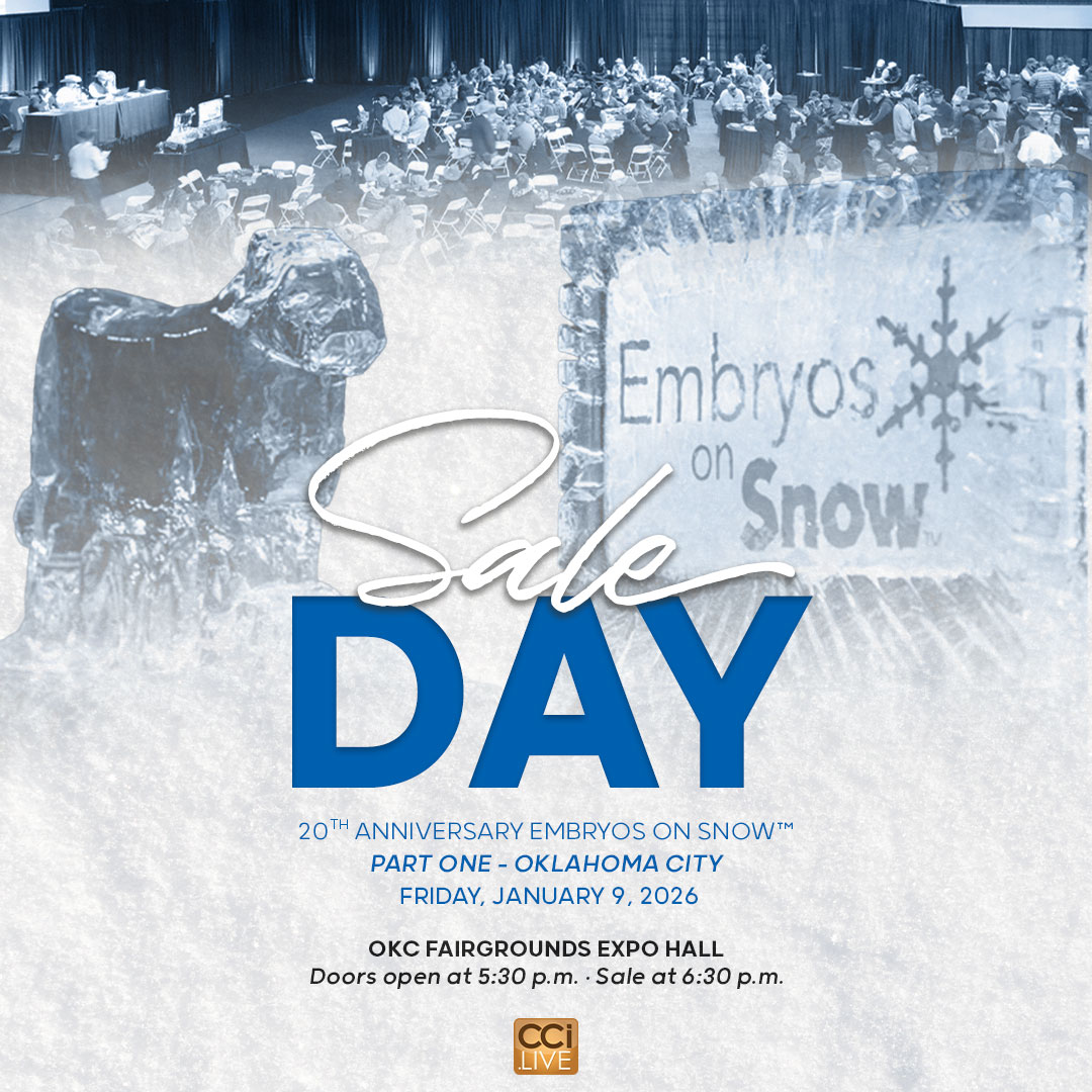 SALE DAY | EMBRYOS ON SNOW™ – PART ONE – OKC | The Pulse