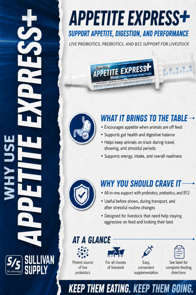 Why Appetite Express Should Be In Your Showbox | The Pulse